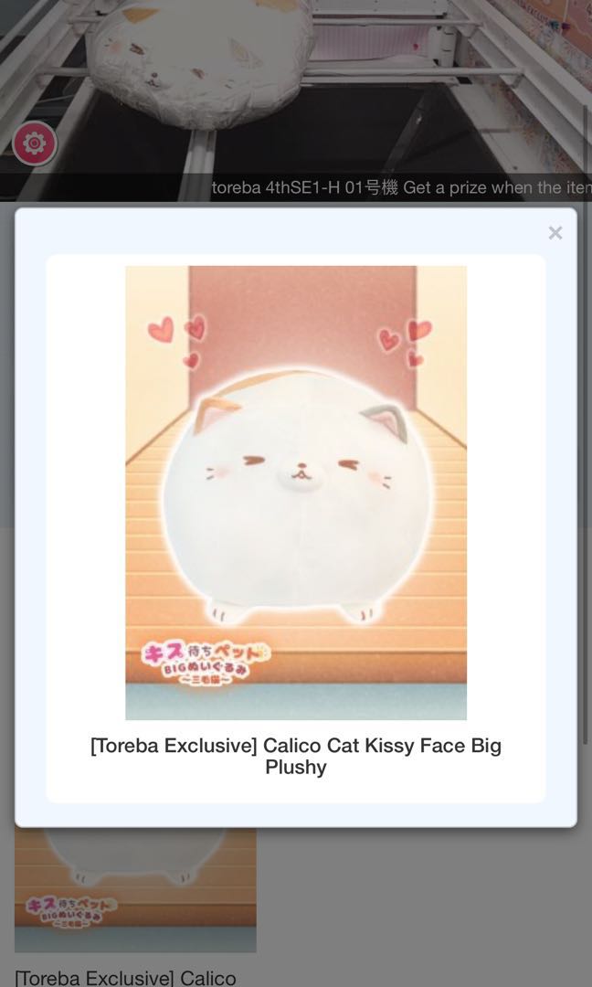 Toreba exclusive calico cat kissy face big plushy, Toys & Games ...