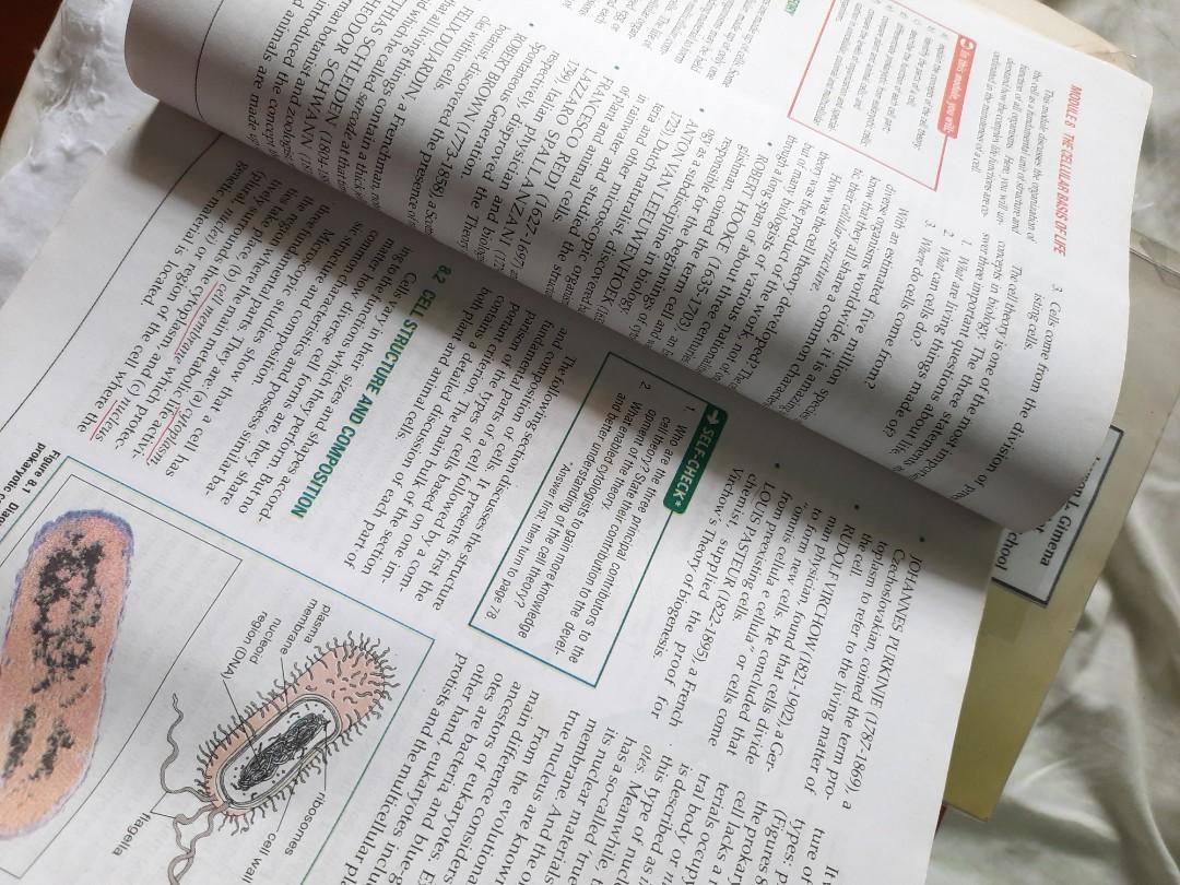 Functional Biology (Second hand book), Hobbies & Toys, Books ...