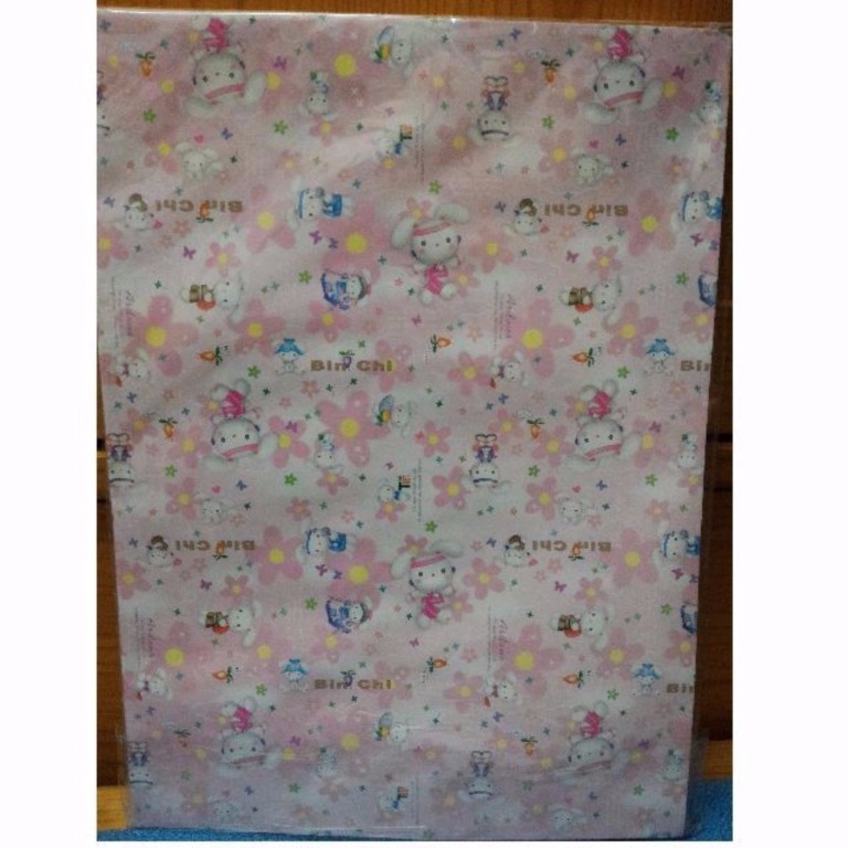 Bin Chi A4 Size Paper bag 禮物袋/花紙袋 一包20個, 其他, 其他 - Carousell
