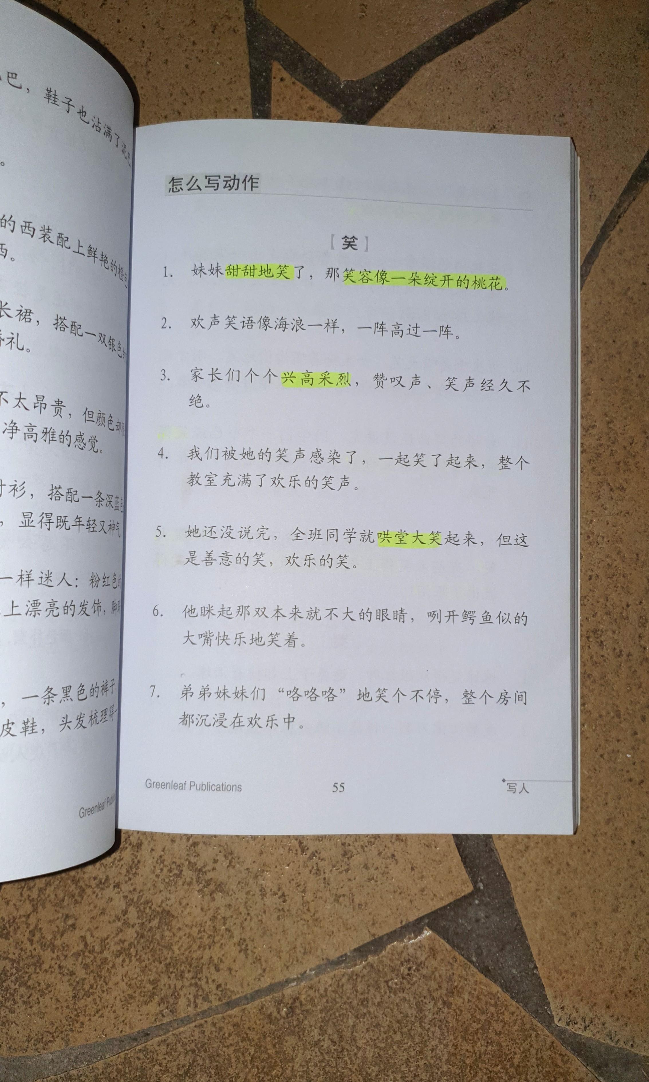 Chinese PSLE Compo Descriptions Guide, Hobbies & Toys, Books ...