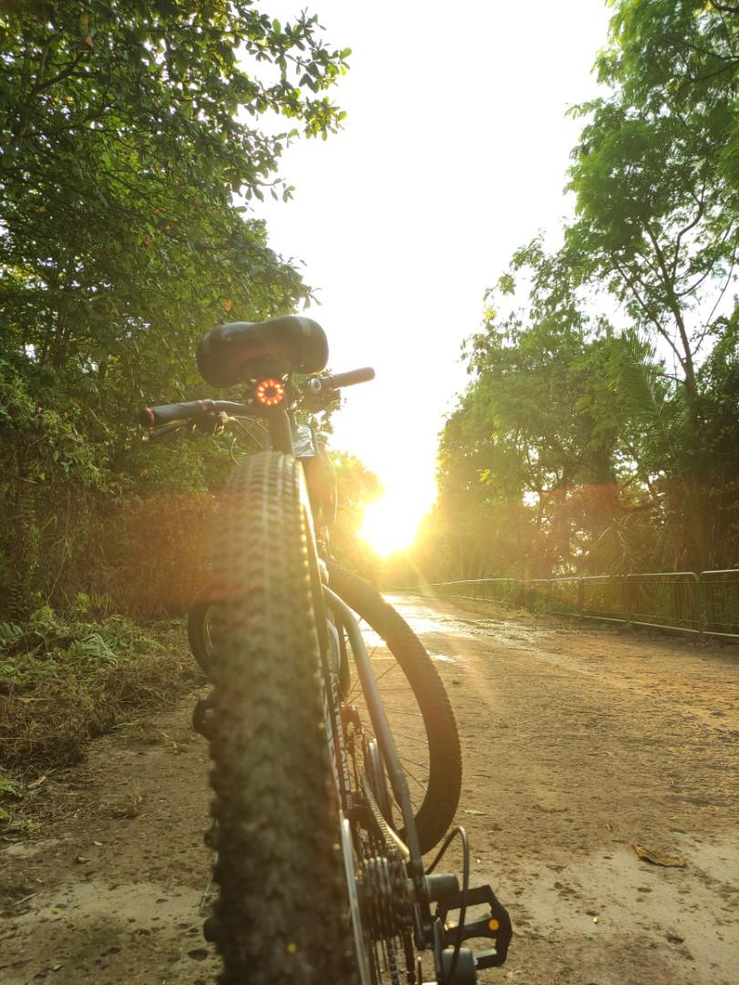 Trinx M116 Pro 29" Matte Black Mountain Bike, Sports Equipment ...