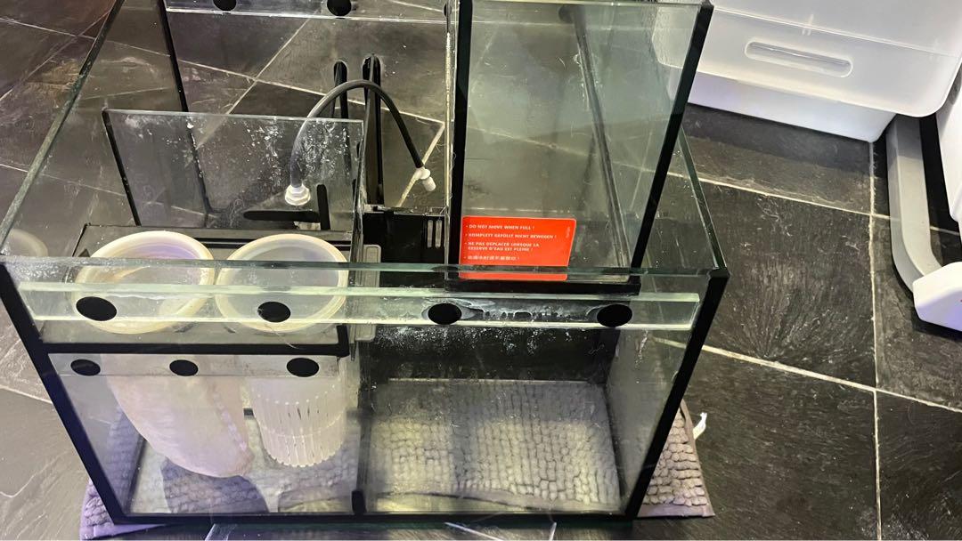 Red Sea 250 sump tank, Pet Supplies, Homes & Other Pet Accessories on ...