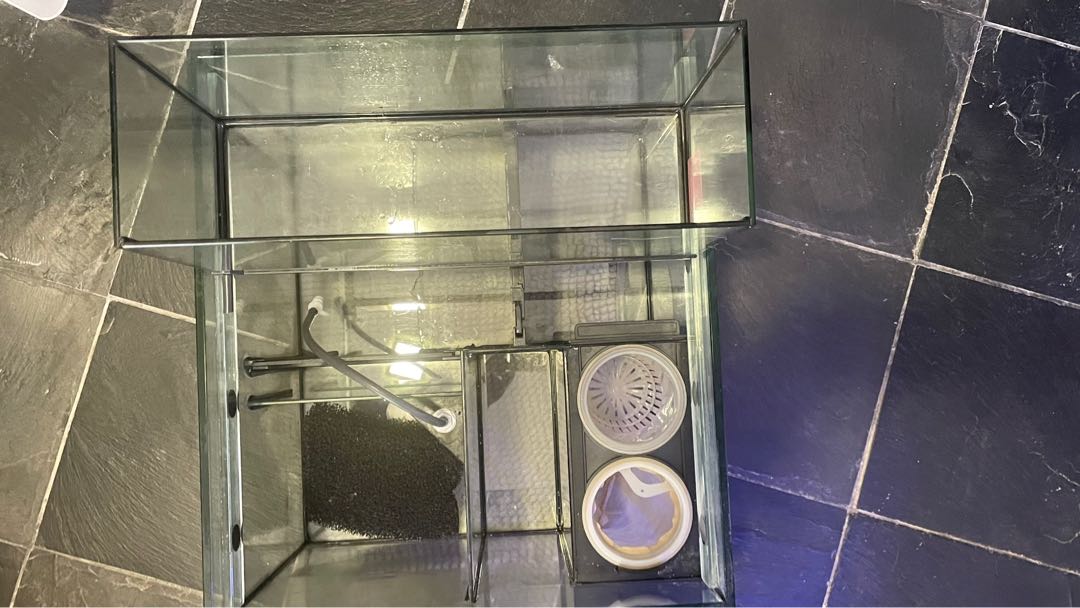 Red Sea 250 sump tank, Pet Supplies, Homes & Other Pet Accessories on ...