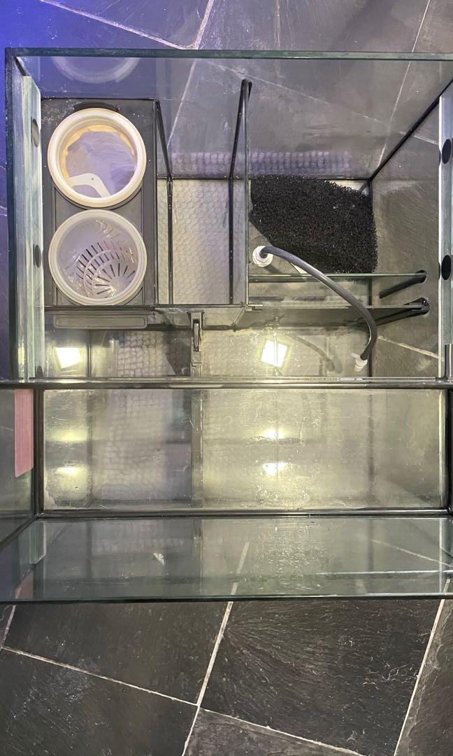 Red Sea 250 sump tank, Pet Supplies, Homes & Other Pet Accessories on ...