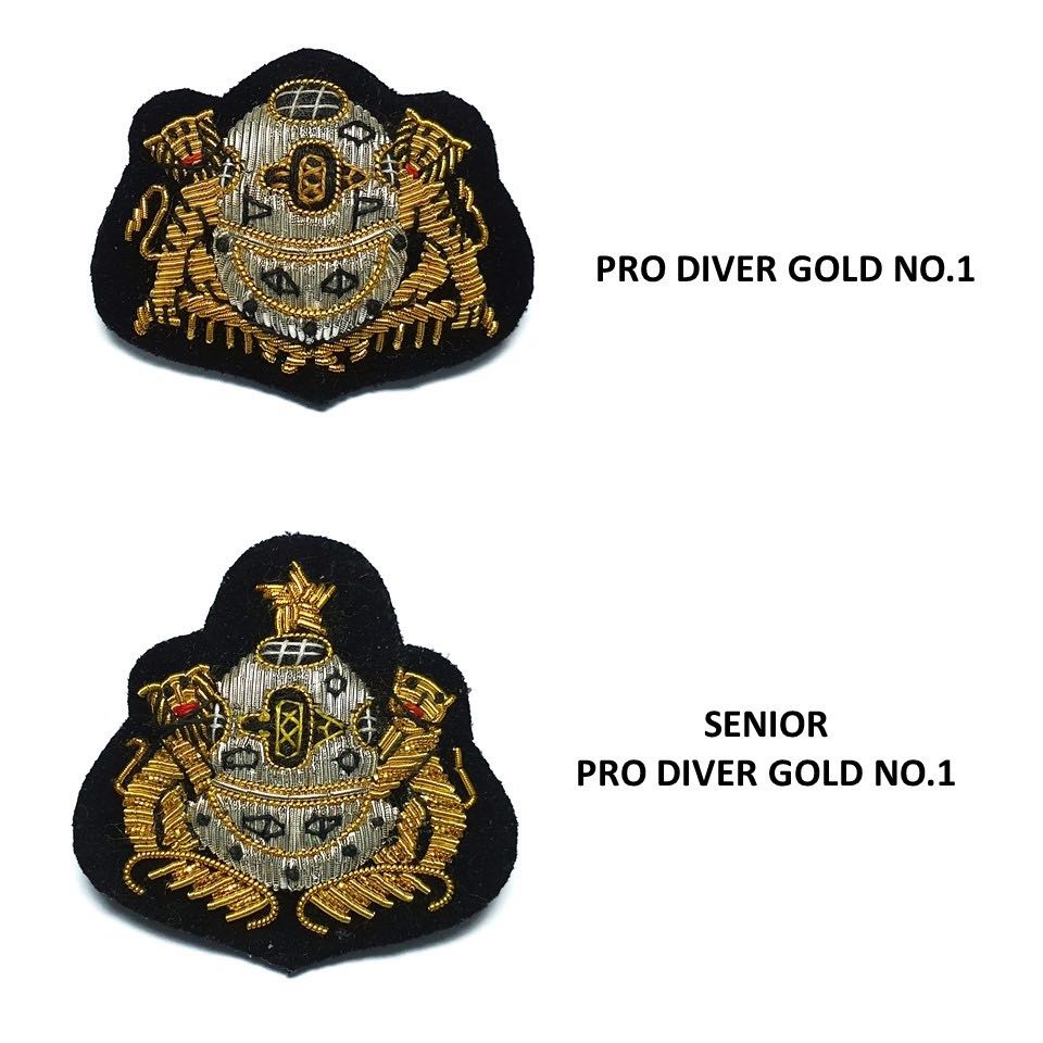 SAF NDU Pro Diver No. 1 Gold Badges, Hobbies & Toys, Memorabilia ...