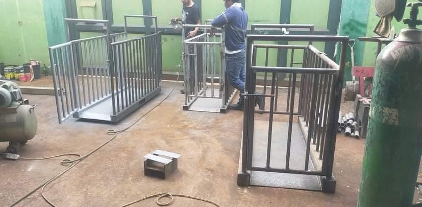 hog scale with built in printer, Computers & Tech, Office & Business ...