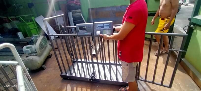 hog scale with built in printer, Computers & Tech, Office & Business ...