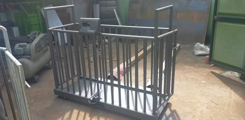 hog scale with built in printer, Computers & Tech, Office & Business ...