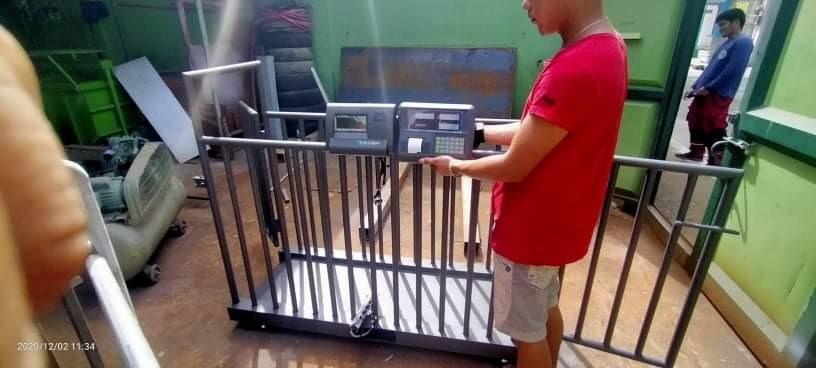 hog scale with built in printer, Computers & Tech, Office & Business ...