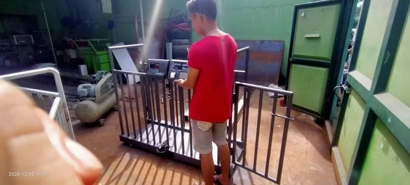 hog scale with built in printer, Computers & Tech, Office & Business ...