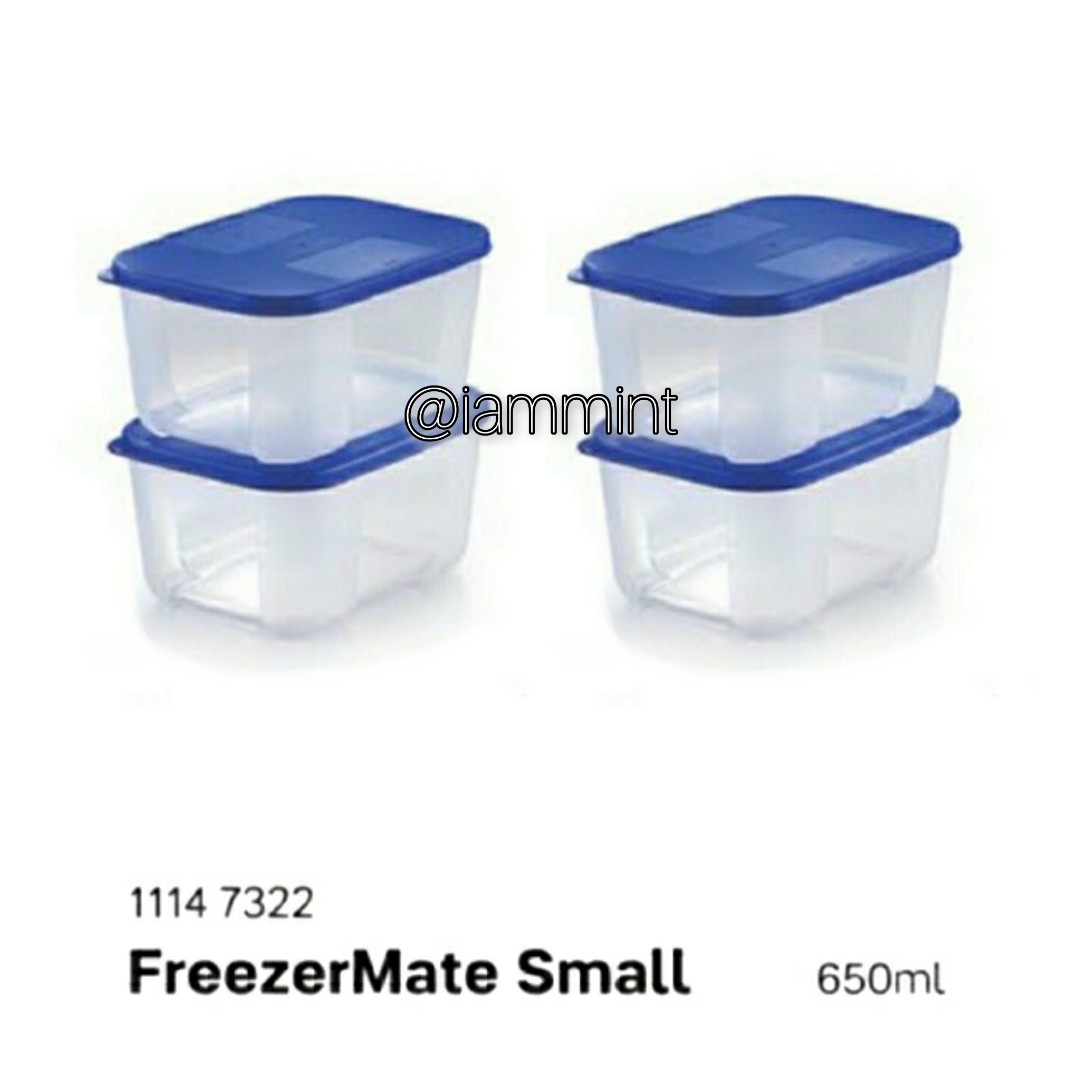 Tupperware 650 ml Freezermate Small Rectangle Box Container Set of 4 ...