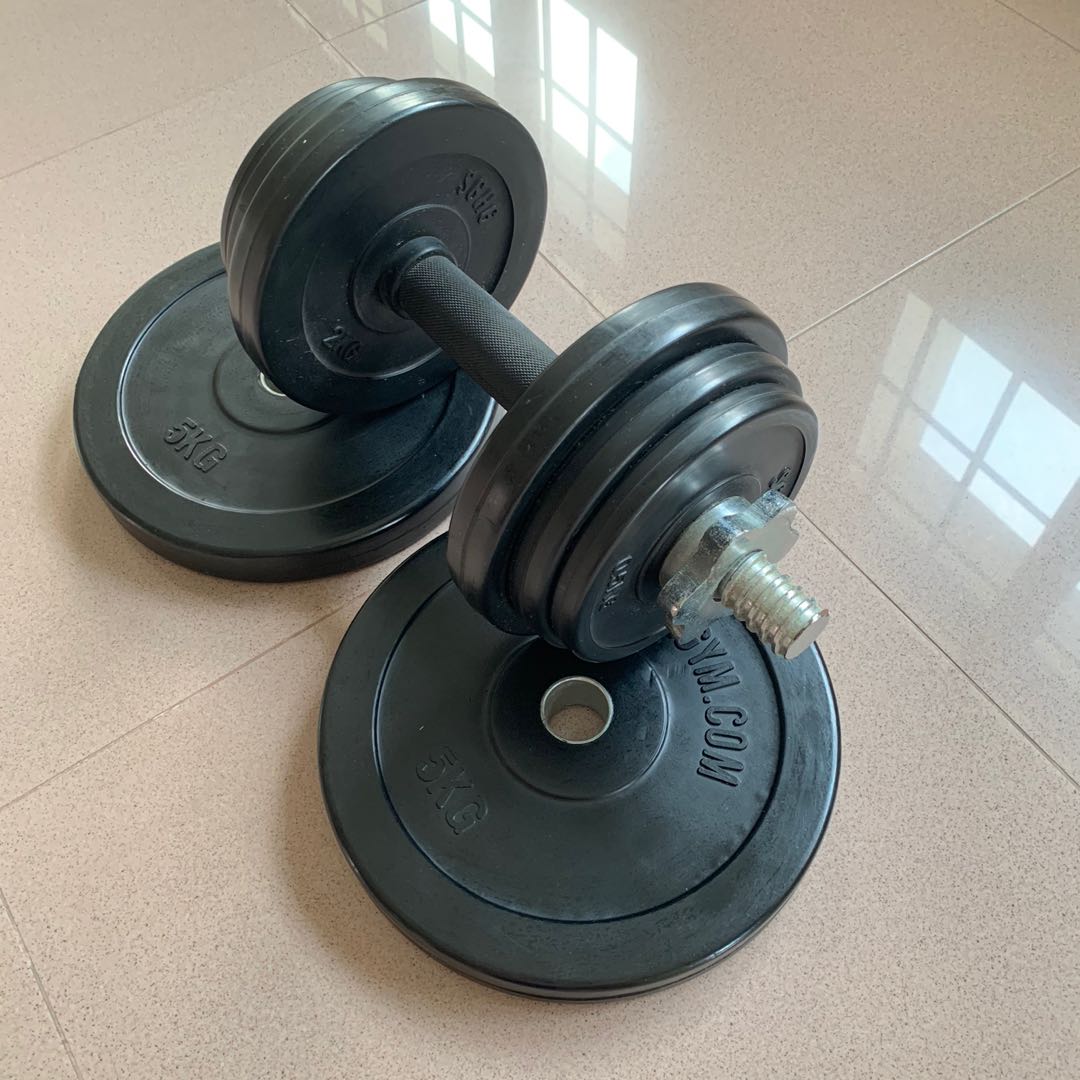 17kg Dumbbell (1 side), Sports Equipment, Exercise & Fitness, Weights ...