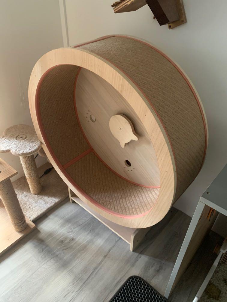 Catmill.., Pet Supplies, Homes & Other Pet Accessories on Carousell