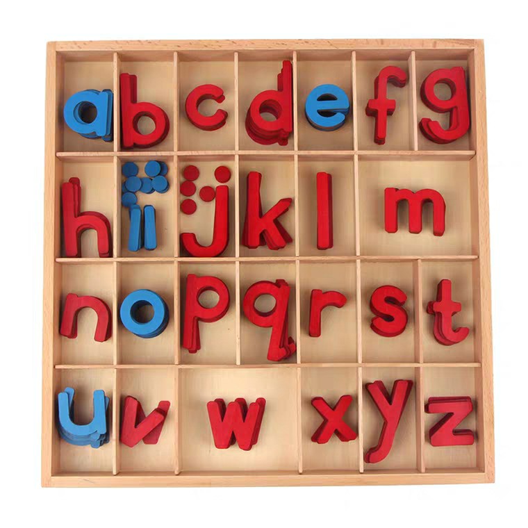 Montessori Moveable Alphabet Letters, Hobbies & Toys, Toys & Games on ...