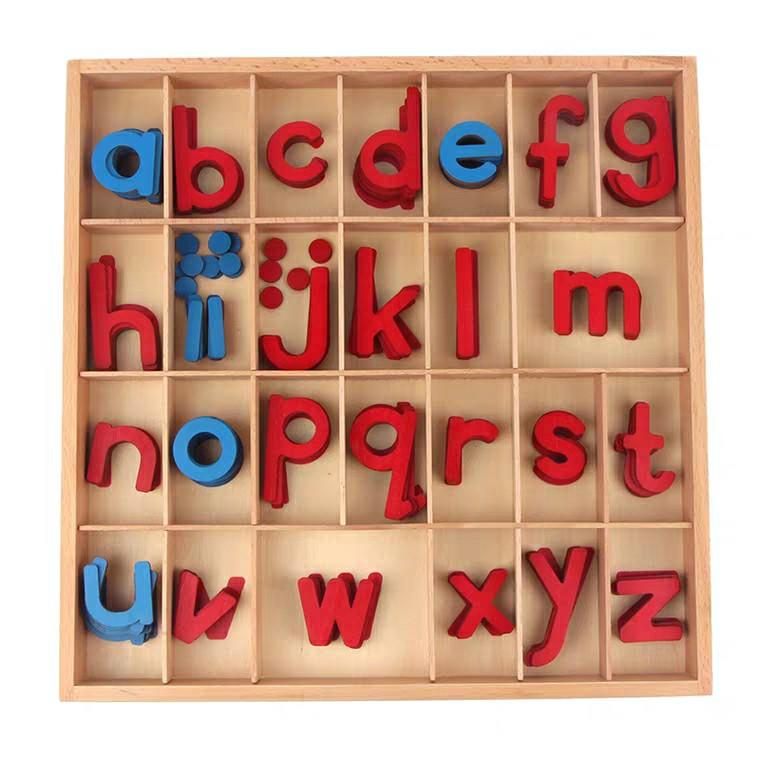 Montessori Moveable Alphabet Letters, Hobbies & Toys, Toys & Games on ...