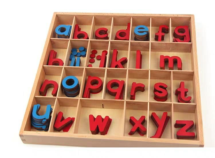 Montessori Moveable Alphabet Letters, Hobbies & Toys, Toys & Games on ...