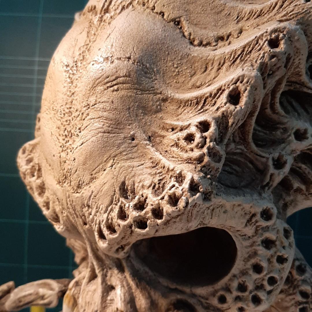 1:1 Predator Skull HYPER RARE, Hobbies & Toys, Collectibles ...