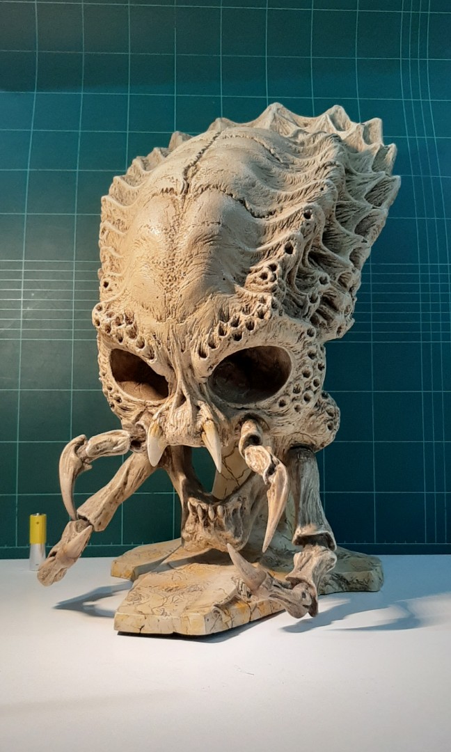 1:1 Predator Skull HYPER RARE, Hobbies & Toys, Collectibles ...