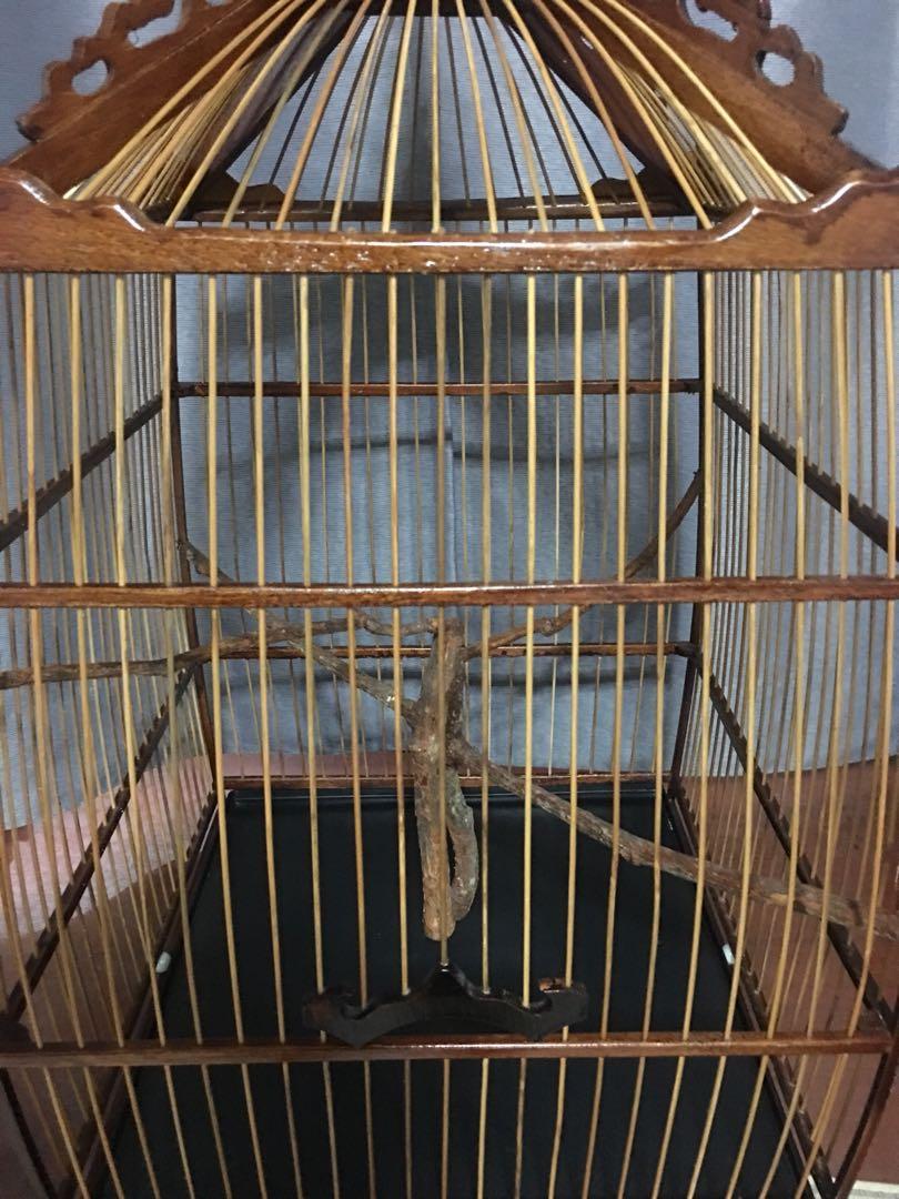 Bat bird cage with cover, Pet Supplies, Homes & Other Pet Accessories ...