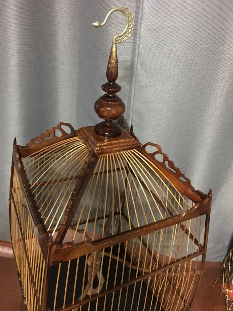 Bat bird cage with cover, Pet Supplies, Homes & Other Pet Accessories ...