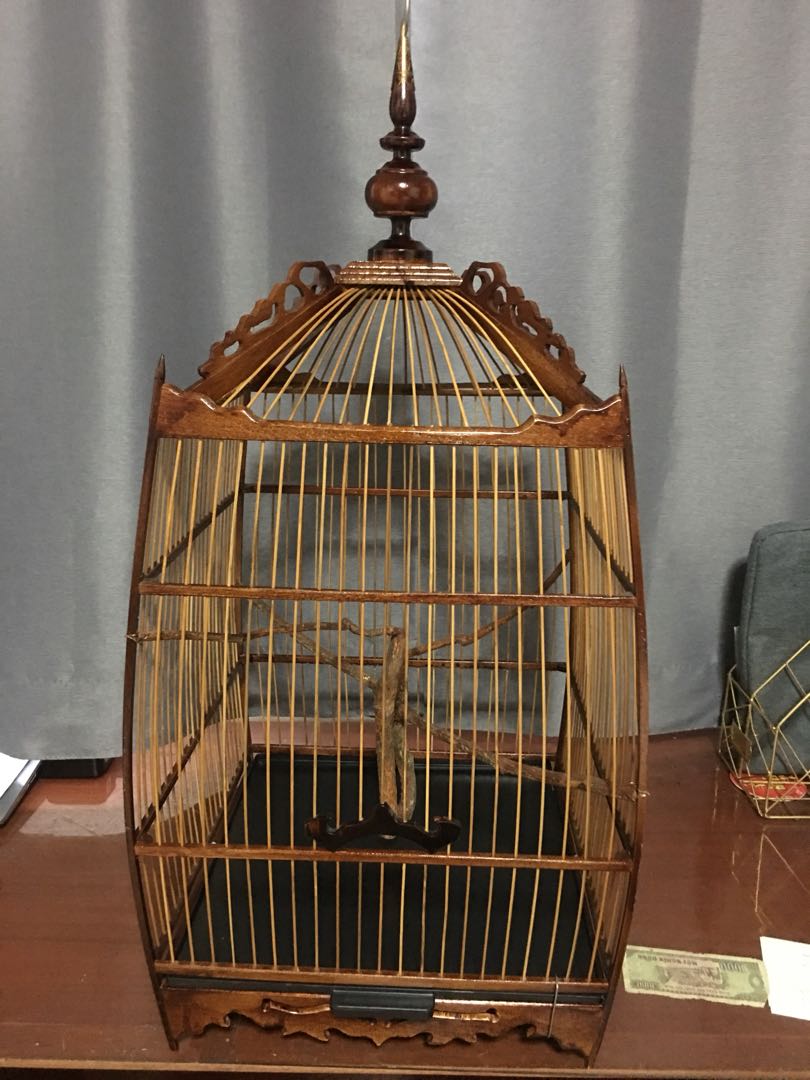 Bat bird cage with cover, Pet Supplies, Homes & Other Pet Accessories ...