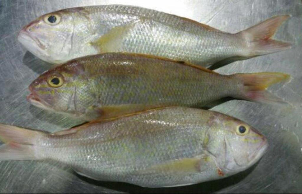 ANG KO LI FISH, Food & Drinks, Local Eats on Carousell