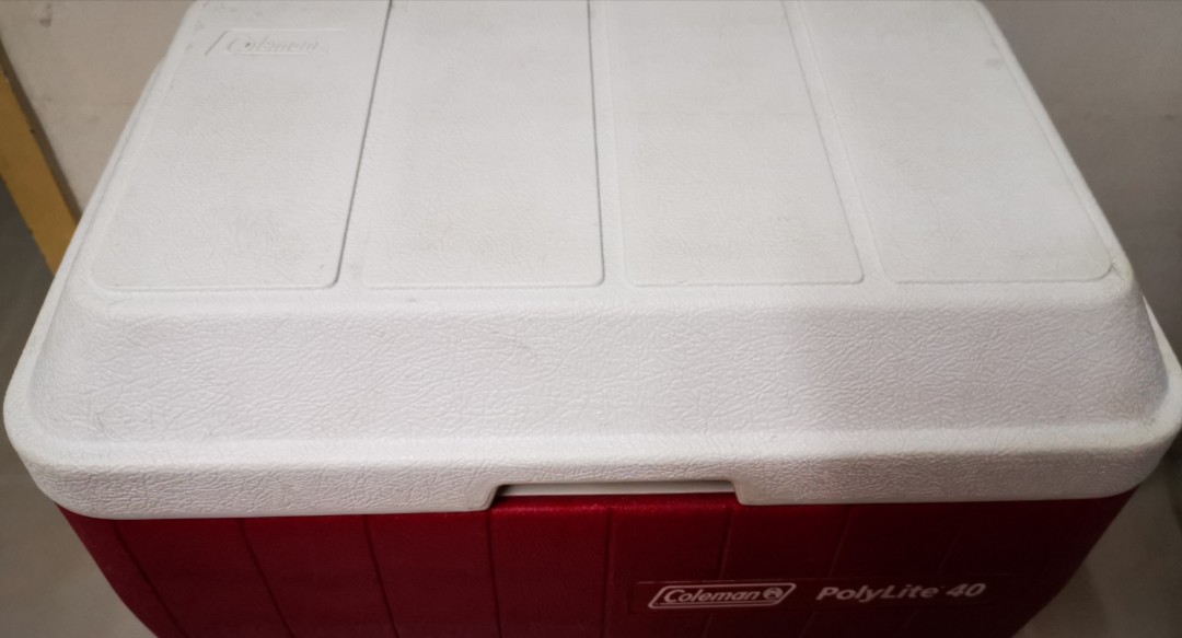 Coleman ice box, Everything Else on Carousell