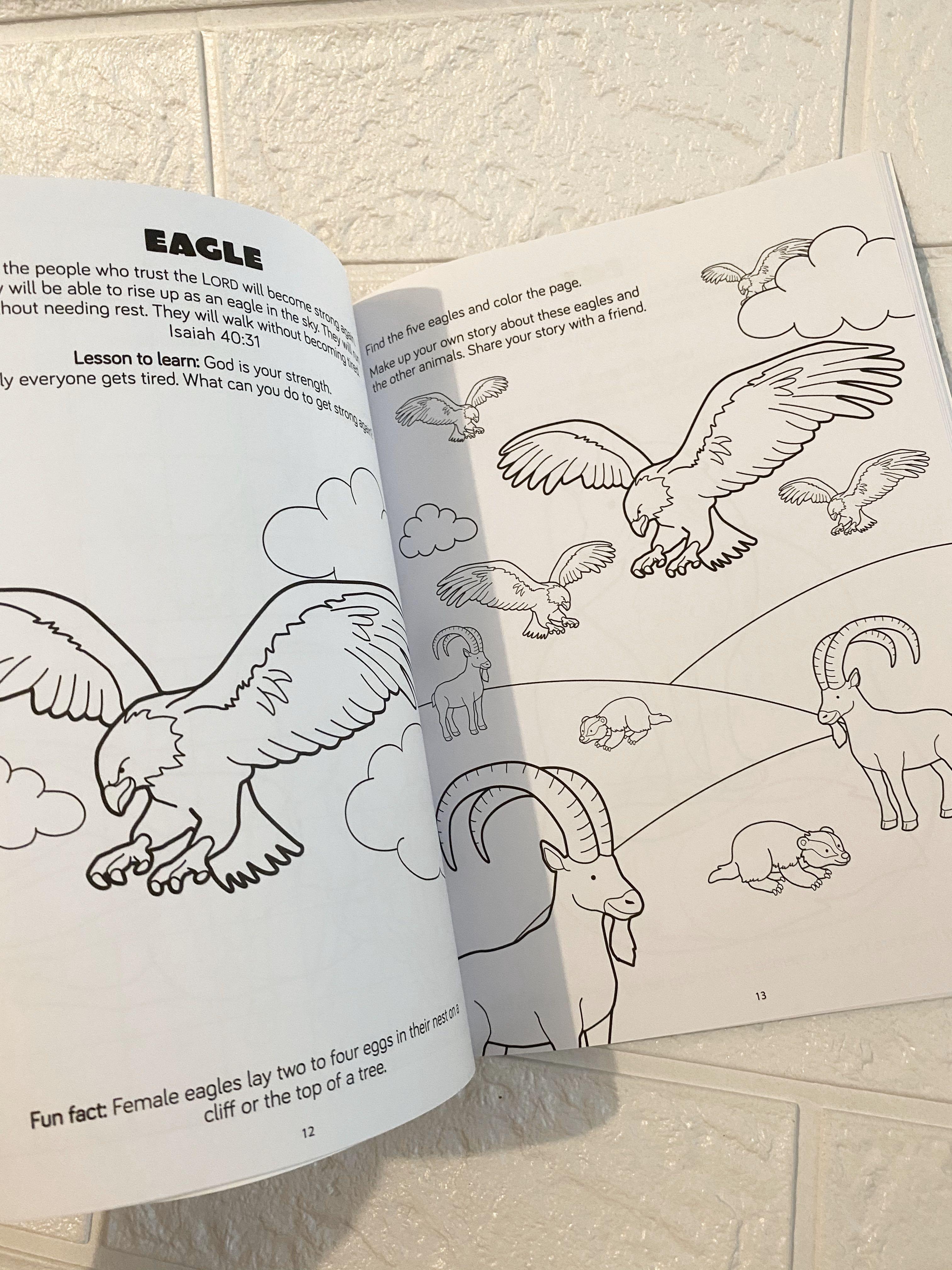Creative Kids Bible Animal Book, Hobbies & Toys, Books & Magazines ...