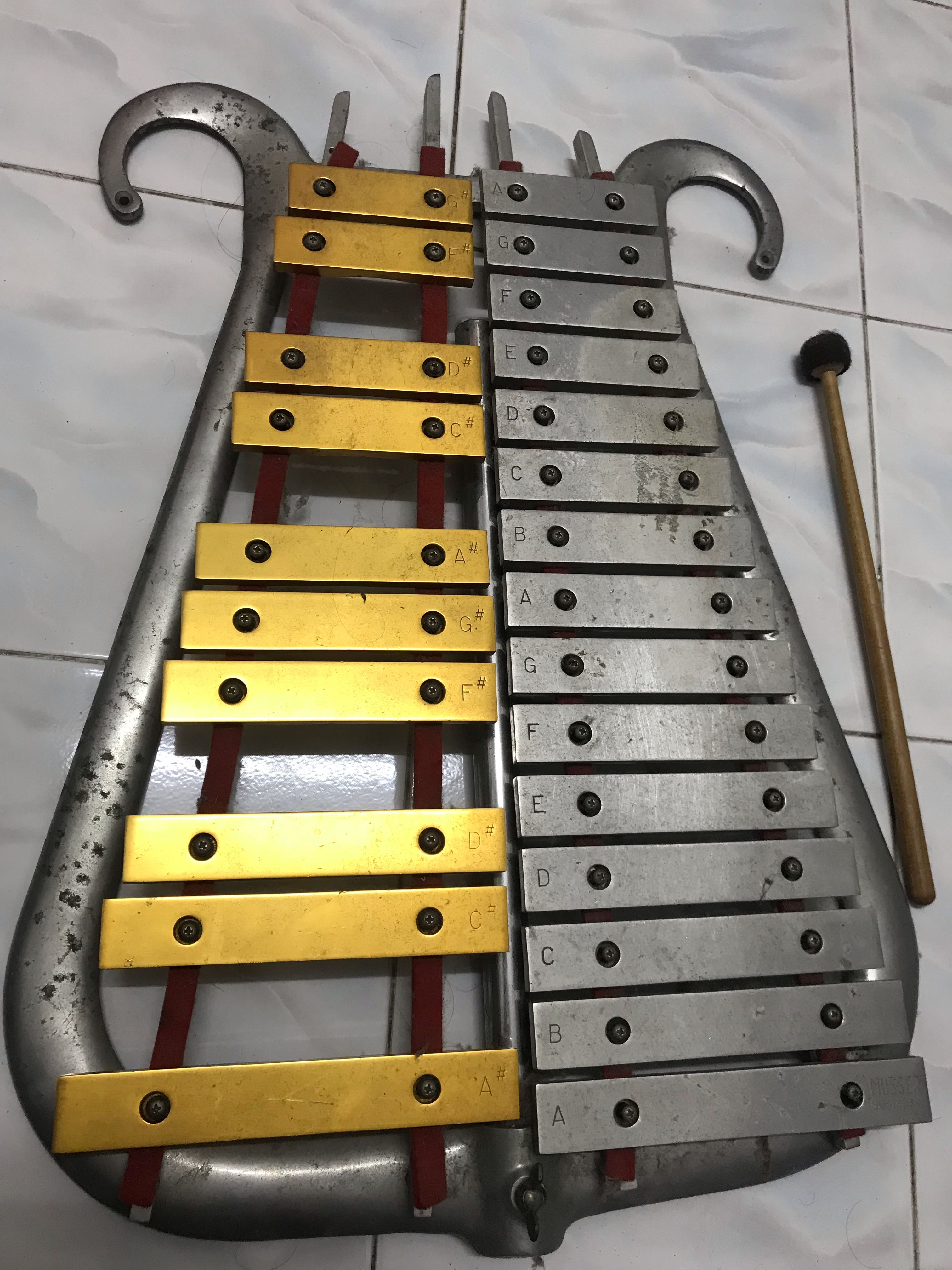 Bellyra, Hobbies & Toys, Music & Media, Musical Instruments on Carousell