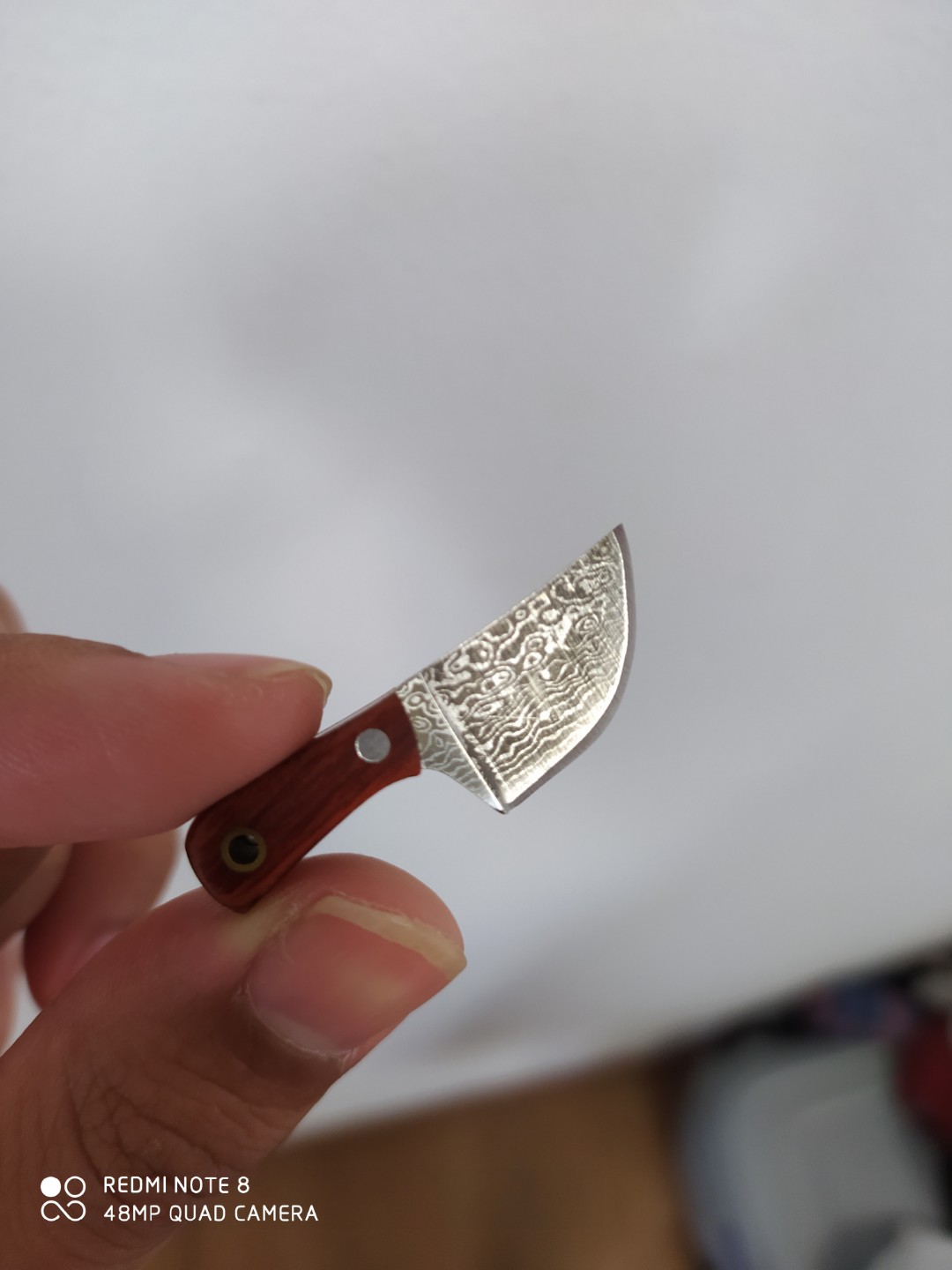 Mini Butcher Knife ( Limited Edition Antiques), Hobbies & Toys ...