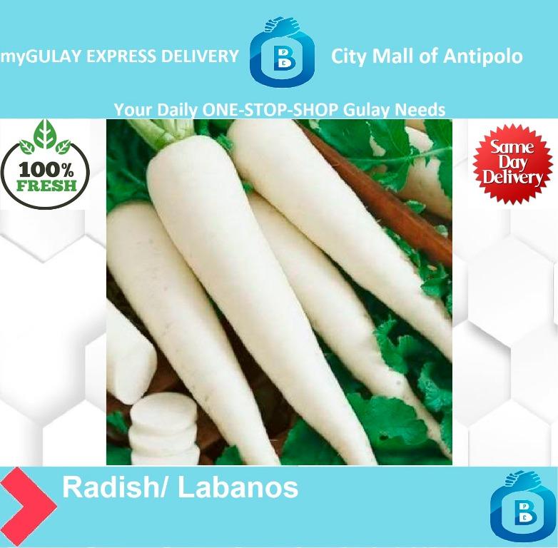 Radish/ Labanos, Food & Drinks, Fresh Produce on Carousell