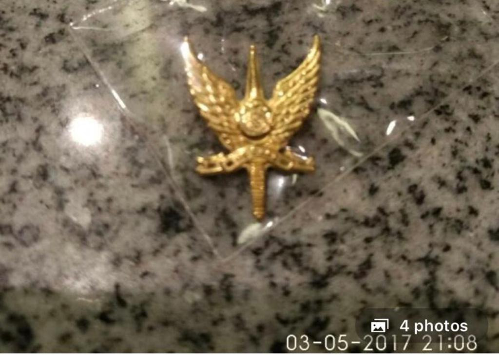 SUPER RARE SOF, Commando, Airborne, Guards Pendant! 916 GOLD!, Women's ...