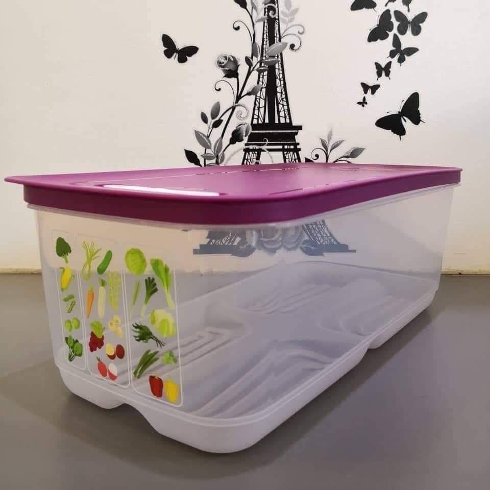 Tupperware Jumbo VentSmart rectangular fruits & Vegetables Fridge ...