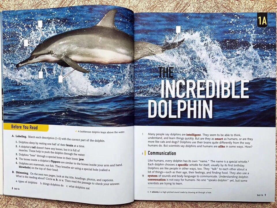 National Geographic Reading Explorer 6 books, 興趣及遊戲, 書本 & 文具, 小朋友書 ...