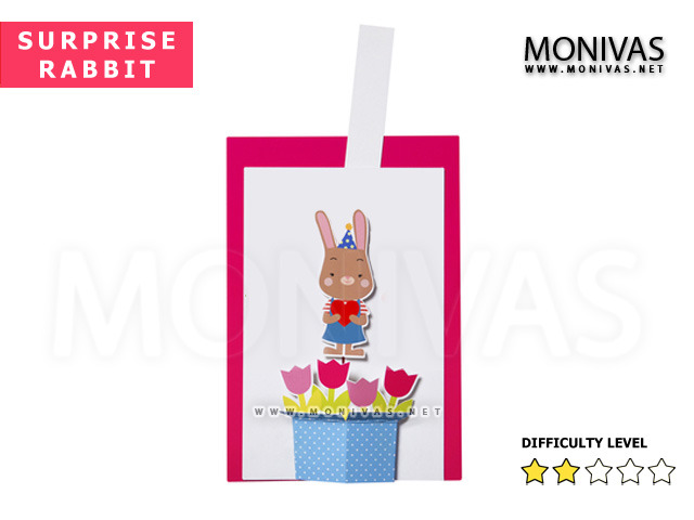 Surprise Rabbit DIY Crafting Handmade Pull-Out Birthday Greeting Cards ...