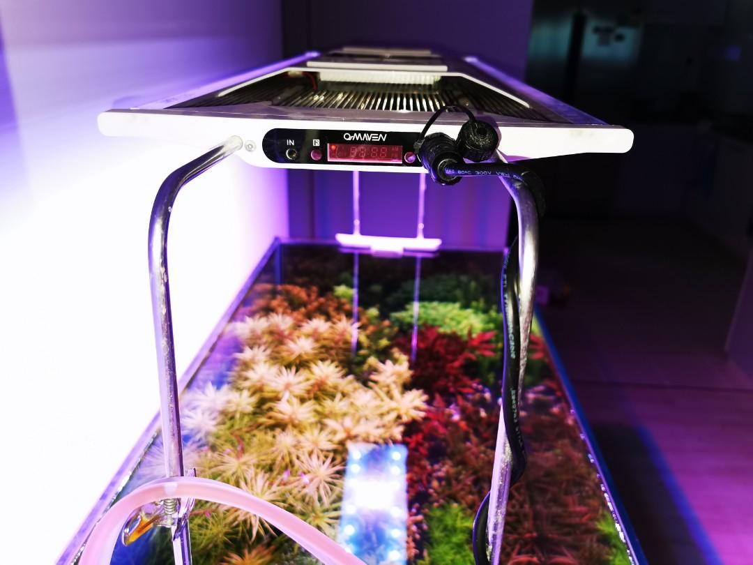 Zetlight ZT6600 Planted tank / Freshwater tank Lights 200W, Pet ...