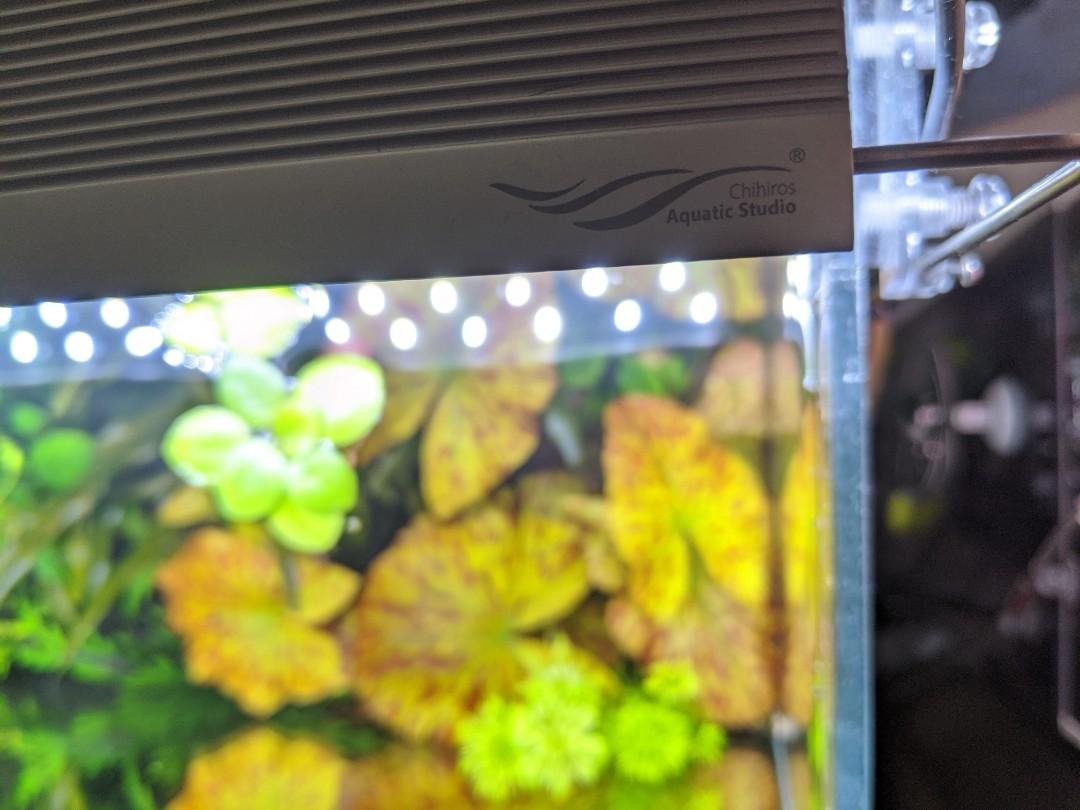 Crystal fish Tank Set, Pet Supplies, Homes & Other Pet Accessories on ...