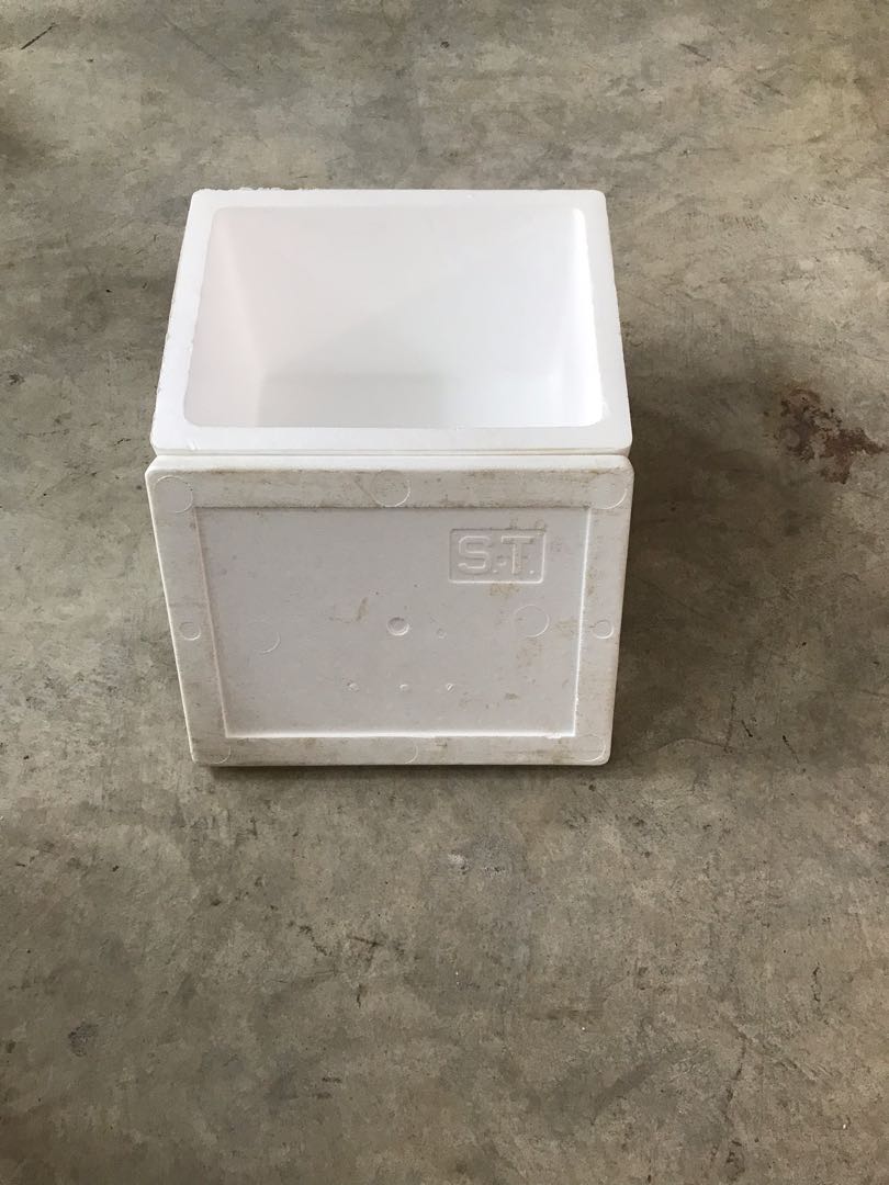 Styrofoam box, Everything Else on Carousell
