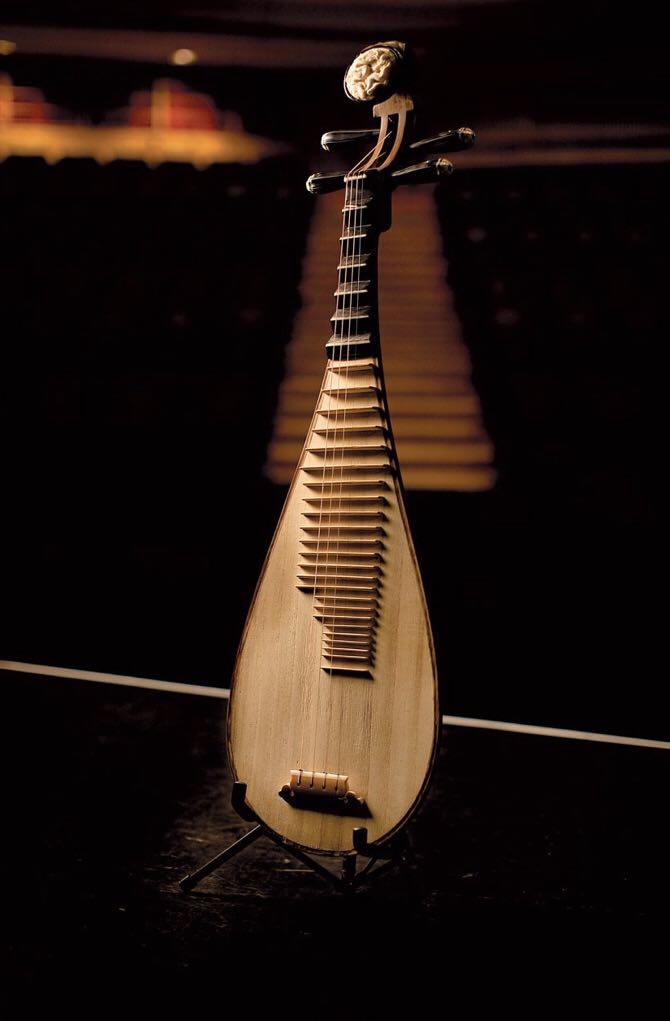 1-1 PIPA LESSON, Music & Media, Music Instruments on Carousell