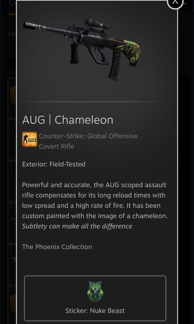 CSGO Aug chameleon, Video Gaming, Gaming Accessories, Game Gift Cards ...