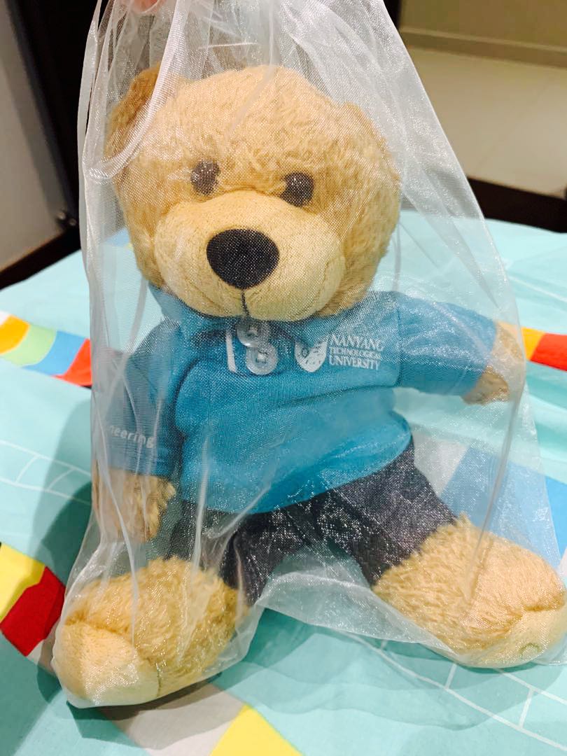NTU Teddy Bear (engineering), Hobbies & Toys, Toys & Games on Carousell