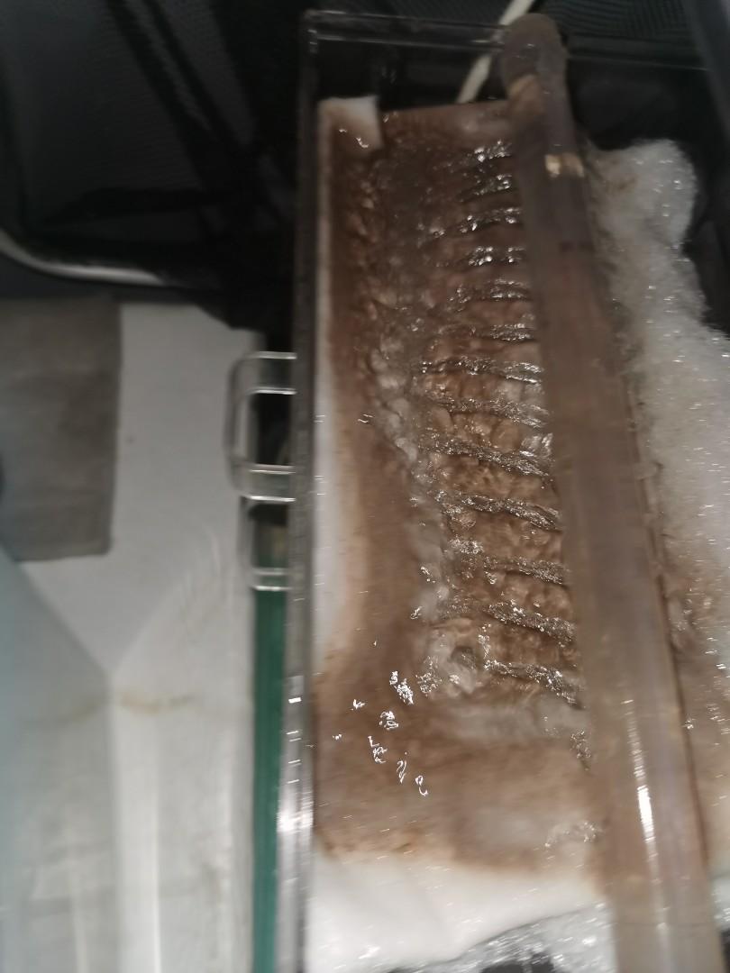 Aquarium cotton wool. High density filter wool, Pet Supplies, Homes ...