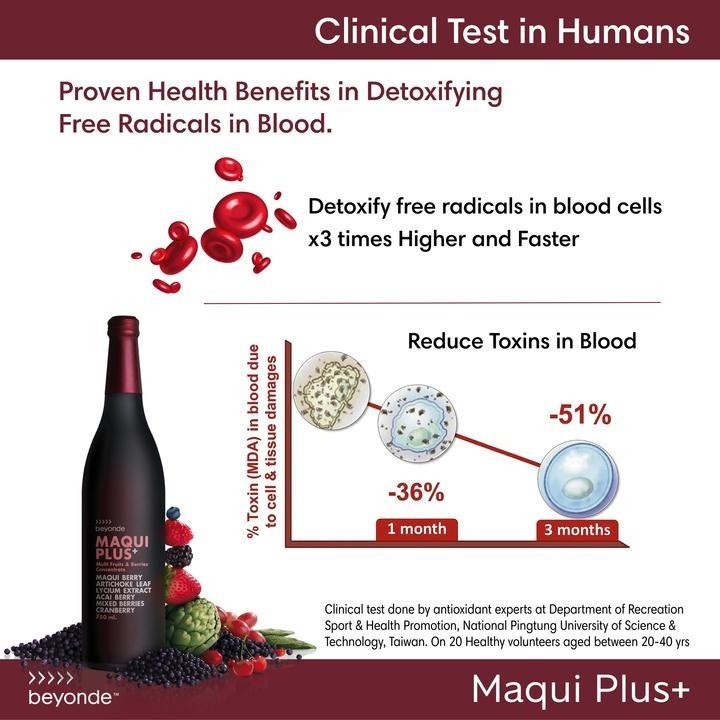 Beyonde Maqui Plus+ Antioxidant Drink, Health & Nutrition, Health ...