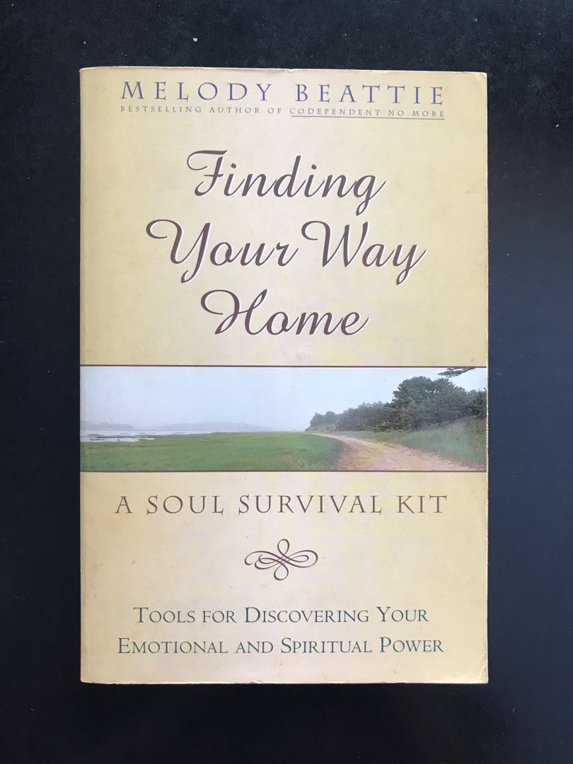 Finding Your Way Home, Hobbies & Toys, Books & Magazines, Fiction & Non ...
