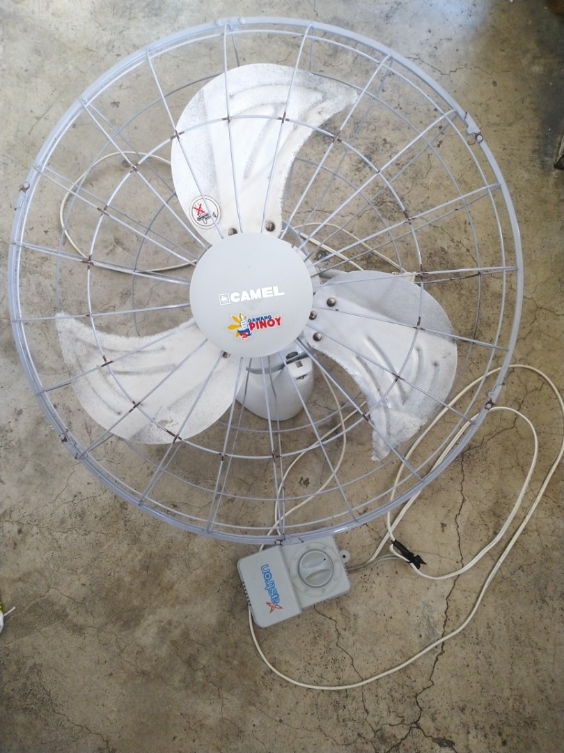For Sale Camel ceiling fan unit only, Furniture & Home Living, Lighting ...