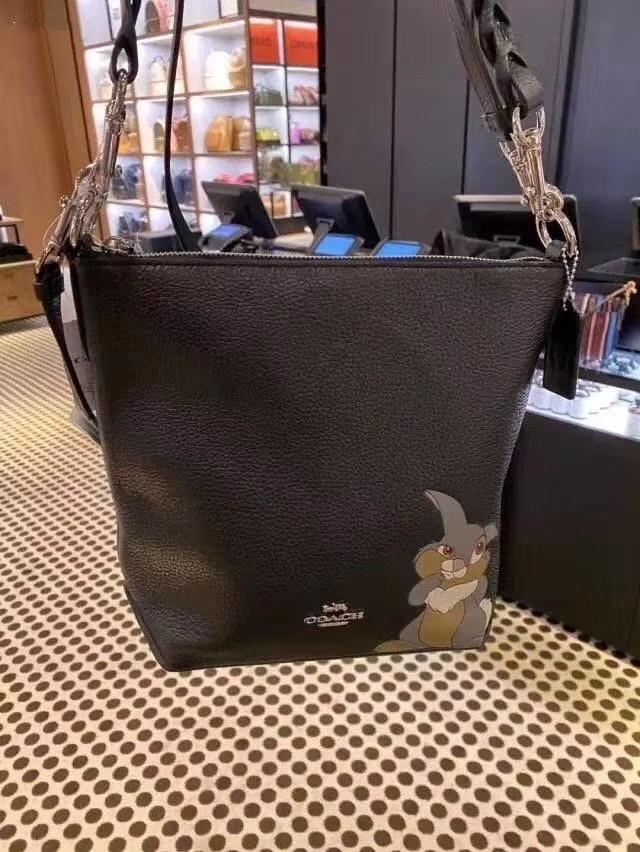 Authentic coach 91117 coach x Disney mini abby duffel thumper, Luxury ...