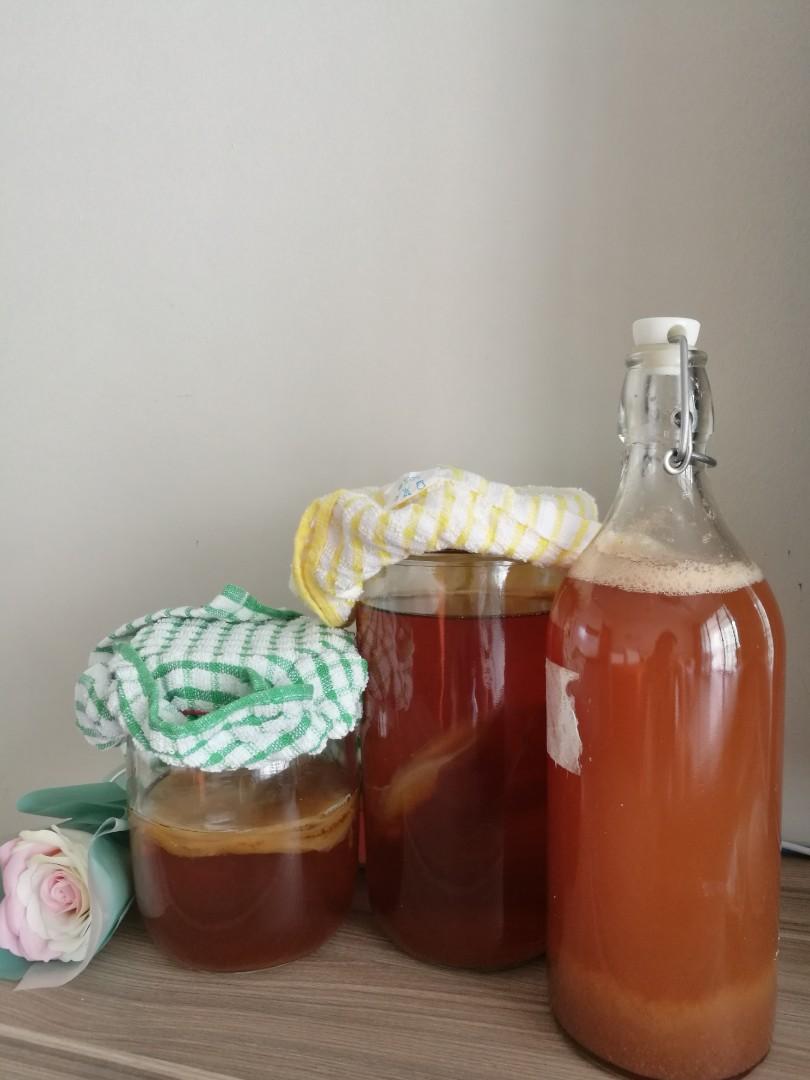 Kombucha DIY starter kit!, Food & Drinks, Beverages on Carousell