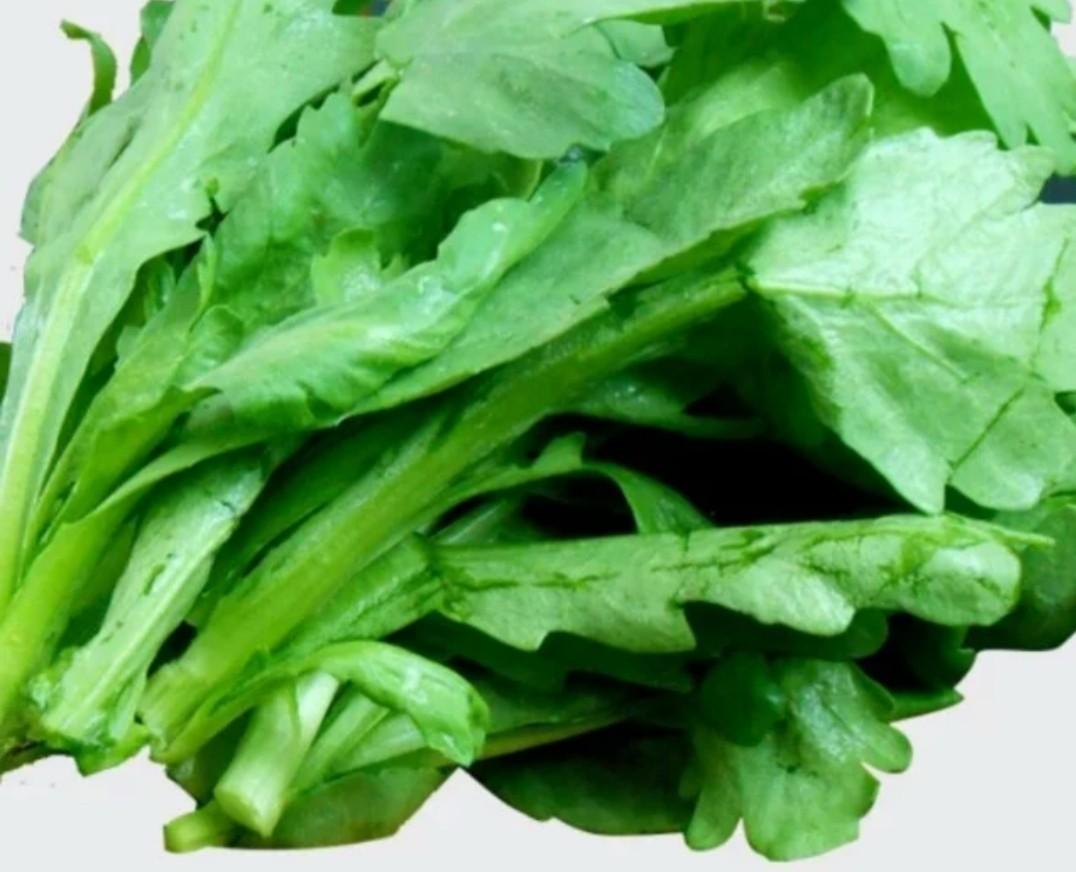 Seeds Tang Oh 茼蒿 Garland Chrysanthemum Urban Farming Vegetables Garden ...