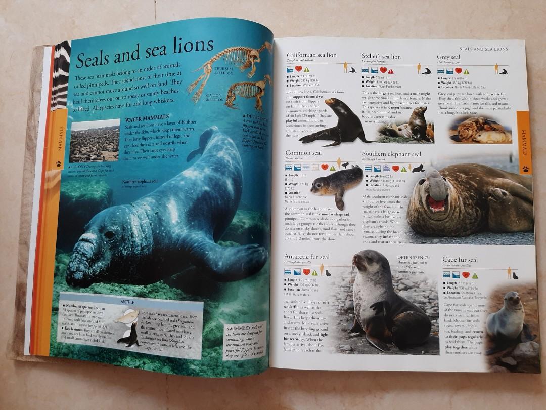 DK animals: a children's encyclopedia, Hobbies & Toys, Books ...