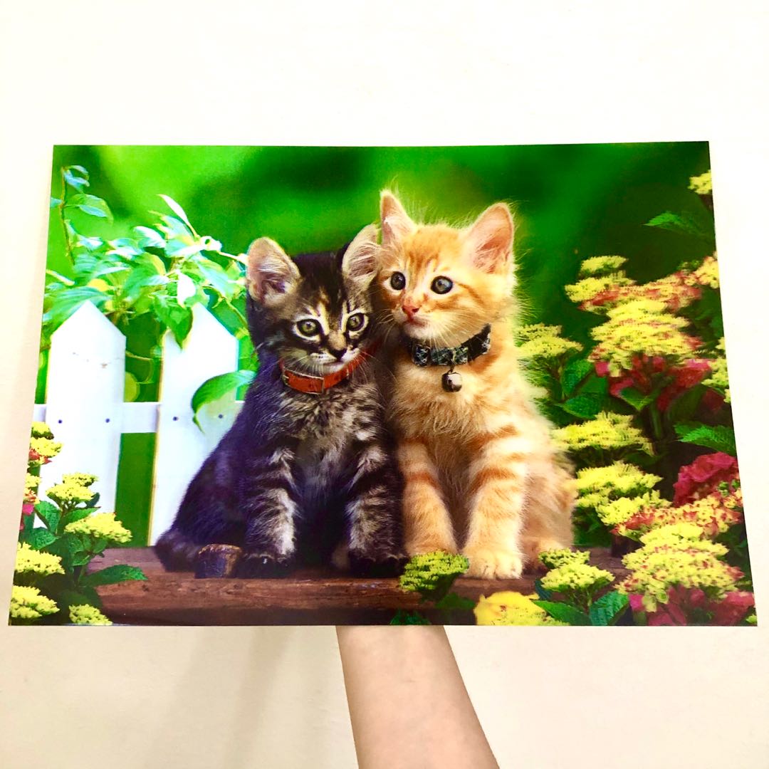 3D hologram cat kitten poster, Design & Craft, Art & Prints on Carousell